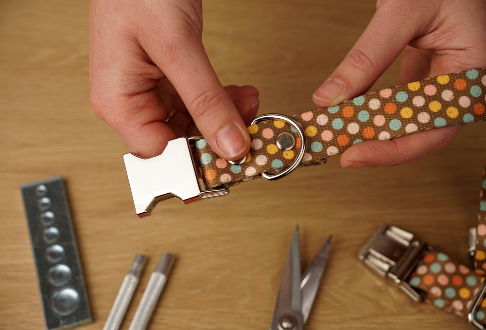 Antkaklis augintiniui Flex Dotted - Bakli.lt