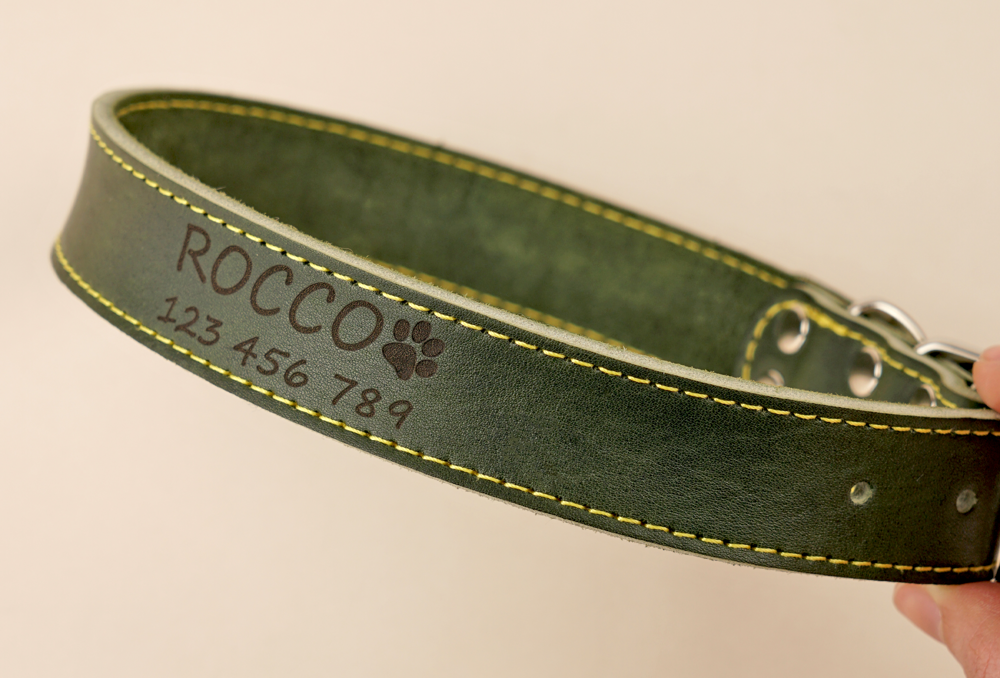 Antkaklis augintiniui Classy Solid - Bakli.lt